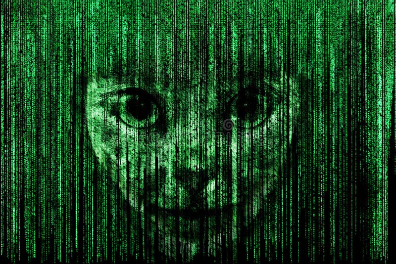 Green Binary Code stock image. Image of space, connectivity - 63879285