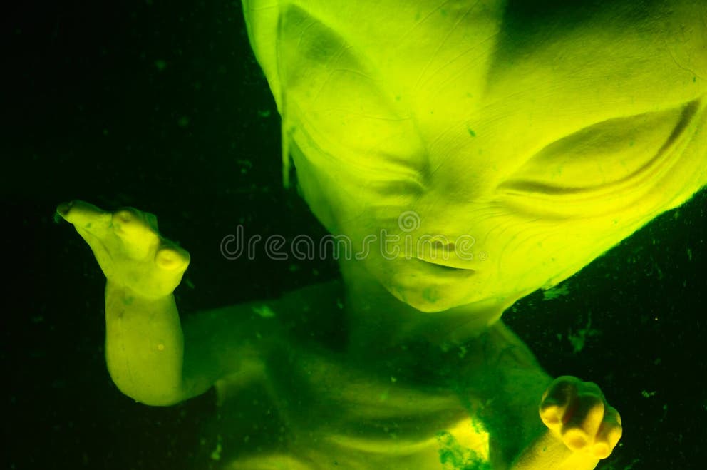 Alien Fetus stock image. Image of womb, frigtening, monsterous - 7126751
