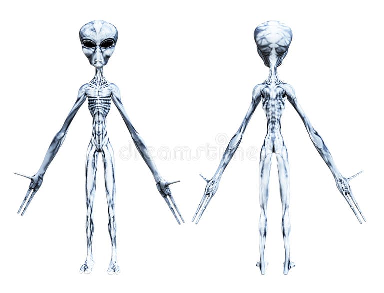 Alien stock illustration. Illustration of thin, science - 32814043