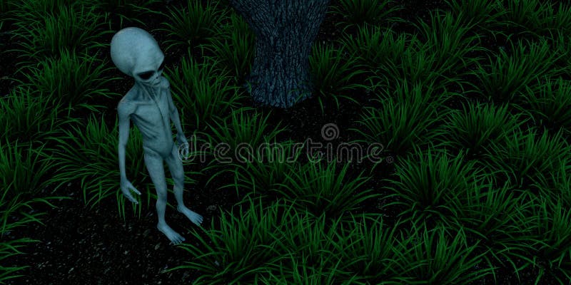 Alien Grey Humanoid Extraterrestrial Being in a Forest Extremely ...