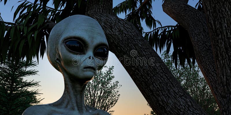 Alien Grey Humanoid Extraterrestrial Being in a Forest Extremely ...
