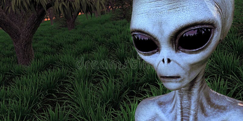 Grey Alien Full Body