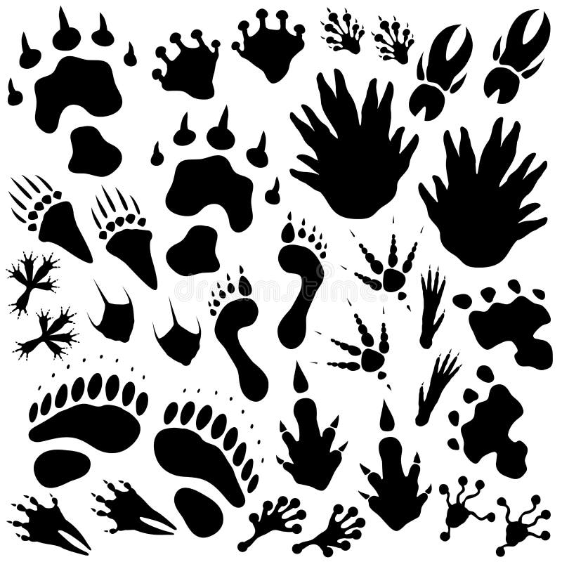 Vector Reptile Footprints or Dinosaur Tracks Stock Vector ... Vector Reptile Footprints or Dinosaur Tracks Stock Vector ...