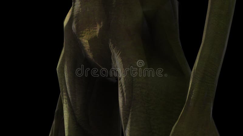 Alien Rotation - Extreme Close-up Blueline Stock Video - Video of ...