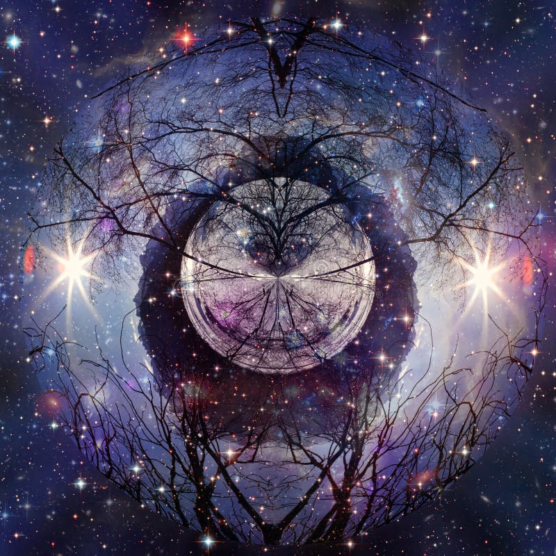 Alien Space Bug stock illustration. Illustration of legs - 45808137