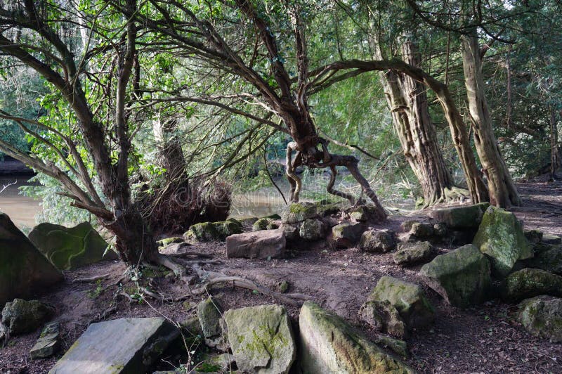 Alien Tree stock image. Image of tree, trees, natural - 39103845