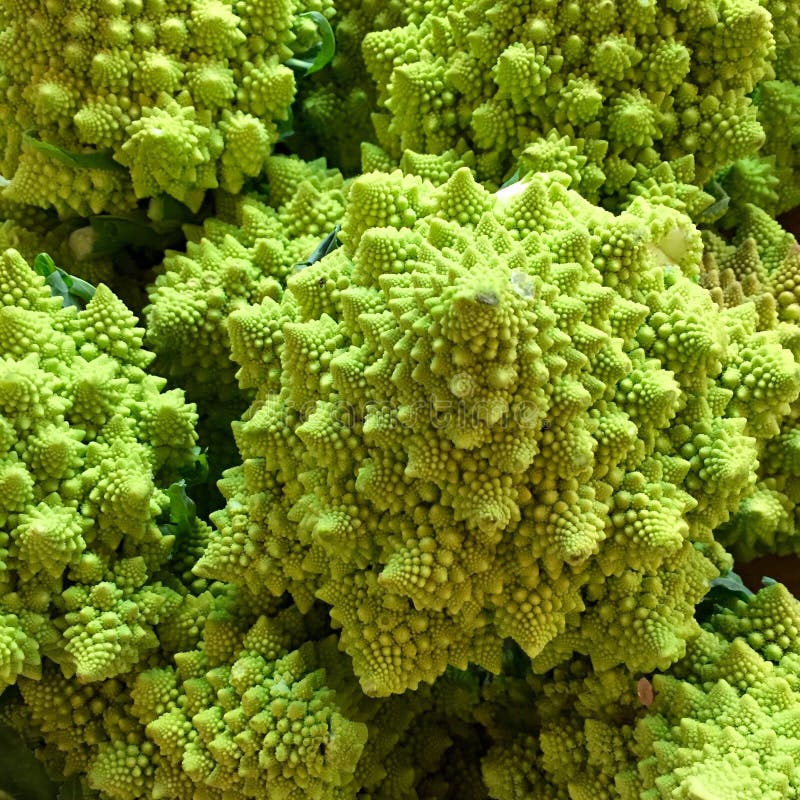 Alien vegetables stock image. Image of green, broccoli - 73820085