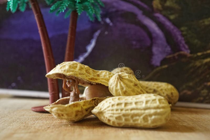 Aliens Hiding Behind Peanuts Stock Photo - Image of aliens, vegetable ...