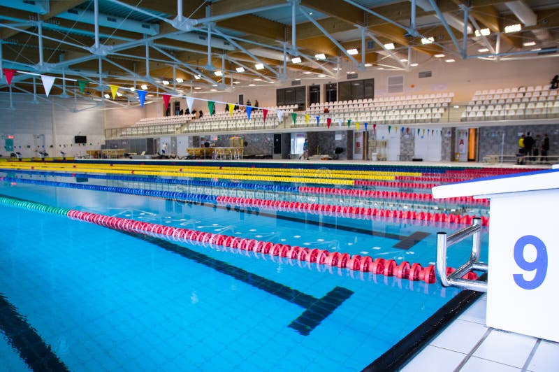 Swimming Starting Blocks stock photo. Image of view, blue - 17350710