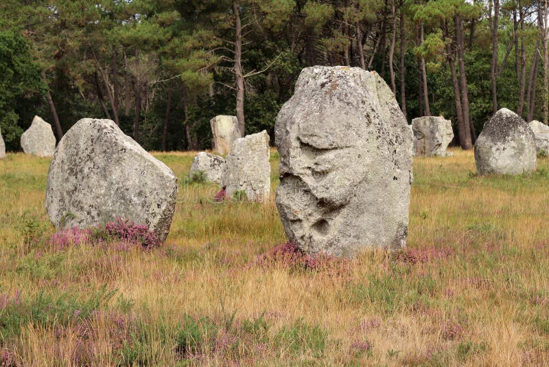 Alignment of Kerlescan, Rows of Menhirs in Carnac in Brittany Stock ...
