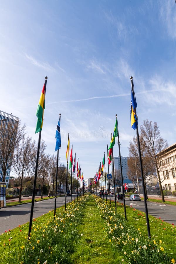 Alignment of world flags stock photo. Image of flower - 245421448