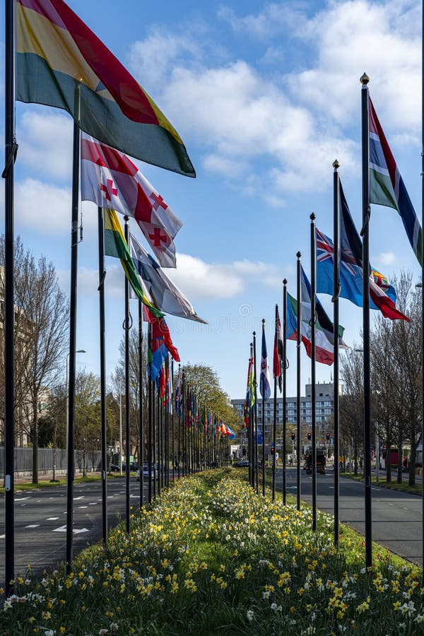 Tree with All Flags of the World Stock Illustration - Illustration of ...