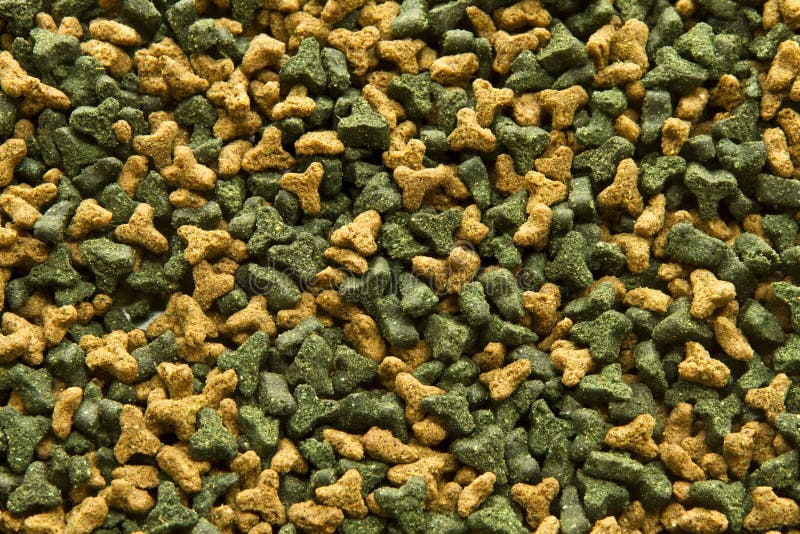 Aliment Pour Animaux Familiers Image stock - Image du mangez, fermer ...