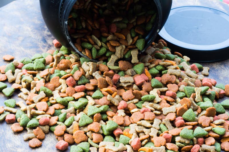 Aliment Pour Animaux Familiers Photo stock - Image du collet, cataire ...