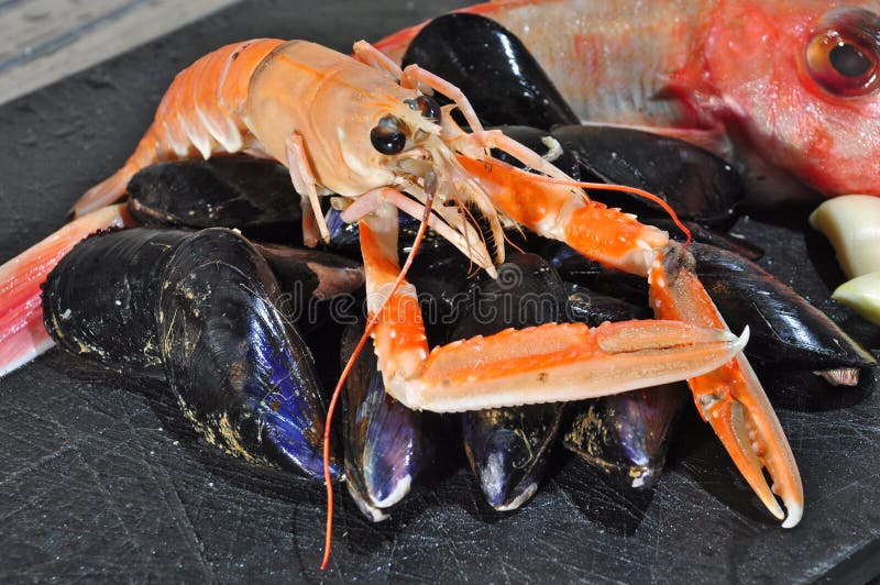 Mariscos foto de archivo. Imagen de mejillones, restaurante - 21503006