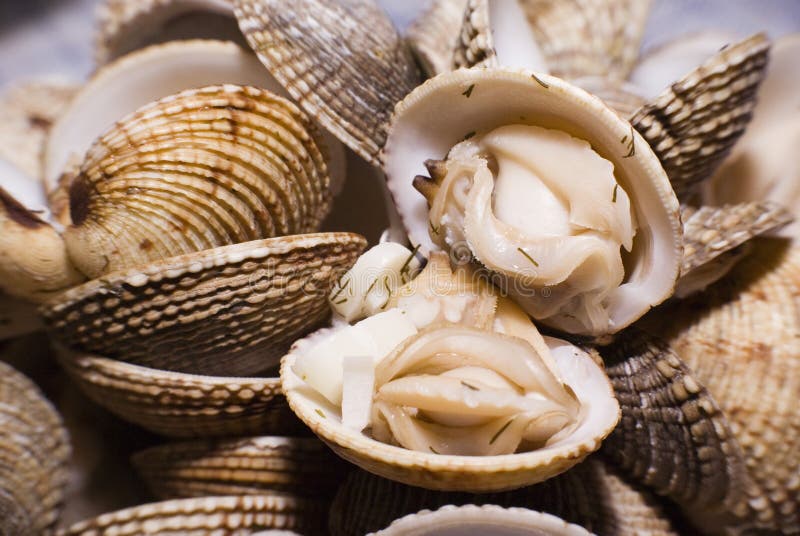 Alimento de mar foto de archivo. Imagen de mercado, mejillones - 6264114