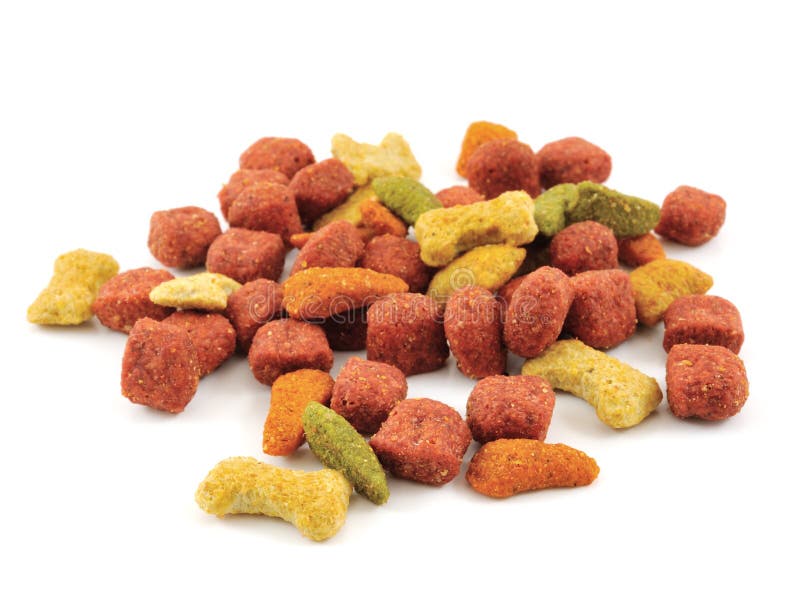 Alimento de perro seco imagen de archivo. Imagen de cierre - 25997267