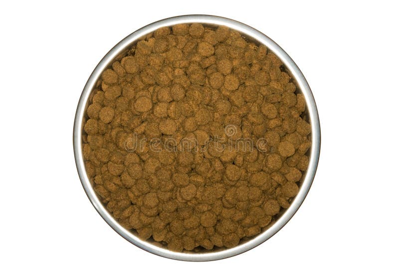Alimento De Perro Seco En Un Plato Del Perro Foto de archivo - Imagen ...