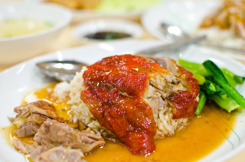 Alimento del pato. foto de archivo. Imagen de cocina - 22215168