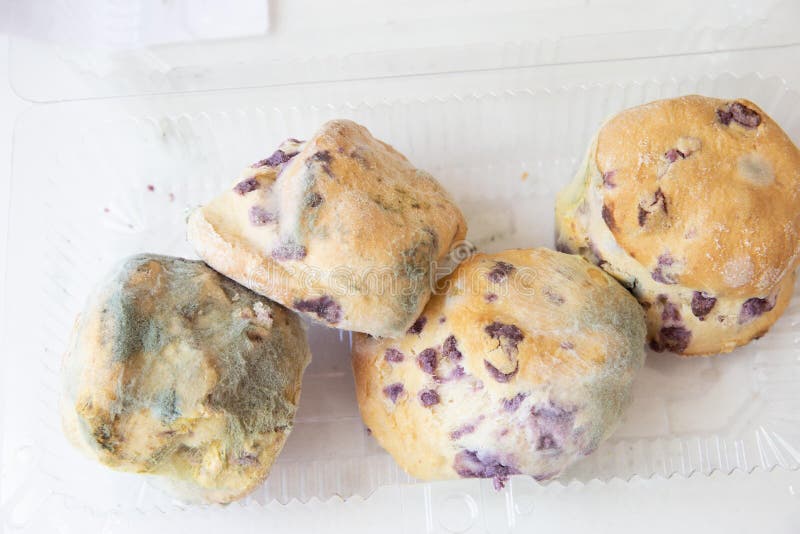 Alimento Mofado No Fundo Branco Foto de Stock - Imagem de verde ...