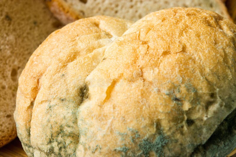 Alimento No Comestible Viejo Foto de archivo - Imagen de envejecido ...