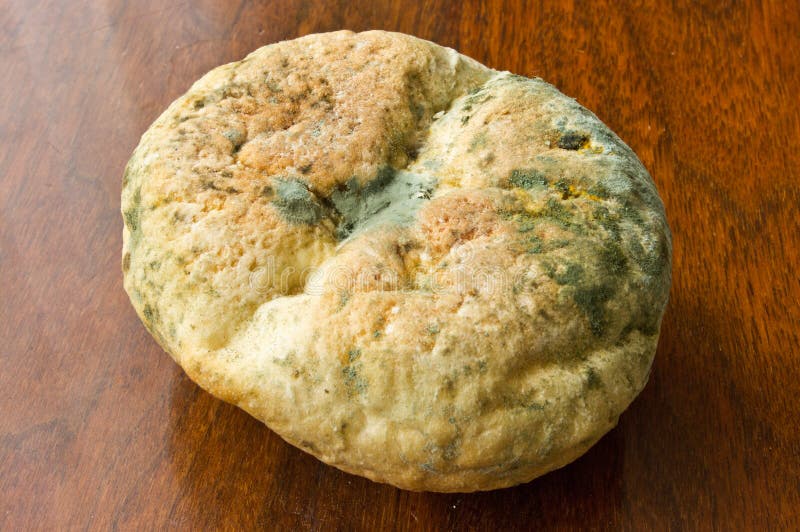Alimento No Comestible Viejo Imagen de archivo - Imagen de suciedad ...