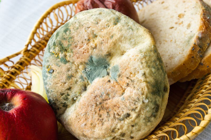 Alimento No Comestible Viejo Foto de archivo - Imagen de envejecido ...