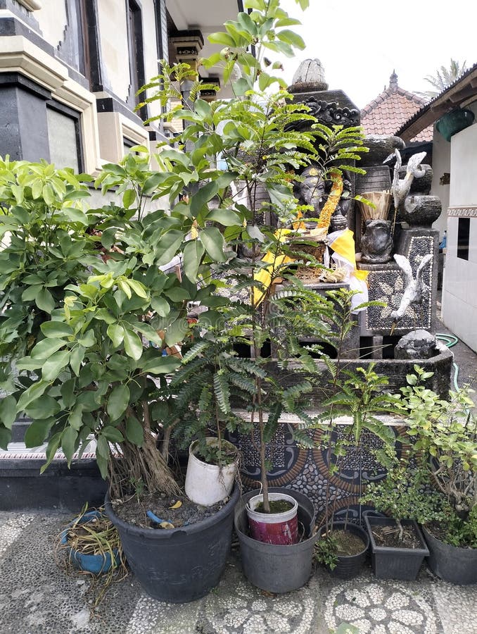 Aling Aling Ganesha Statue in Front of the Yard To Ward Off Negative ...
