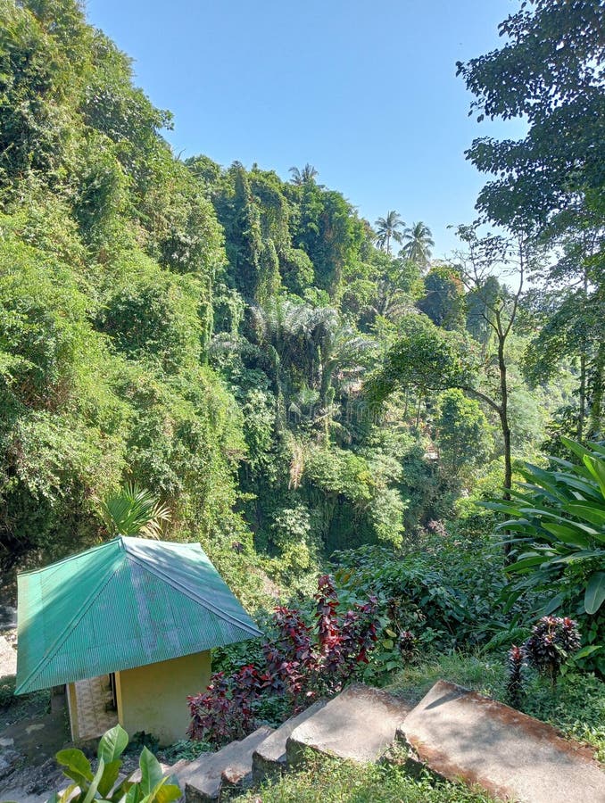 Aling Aling waterfall stock photo. Image of waterfa - 284333996