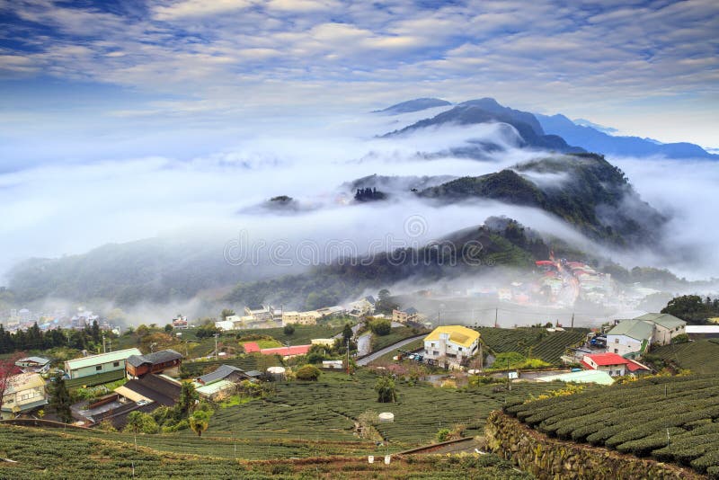 Alishan,Chiayi County,Taiwan:Sunset Clouds Stock Image - Image of ...