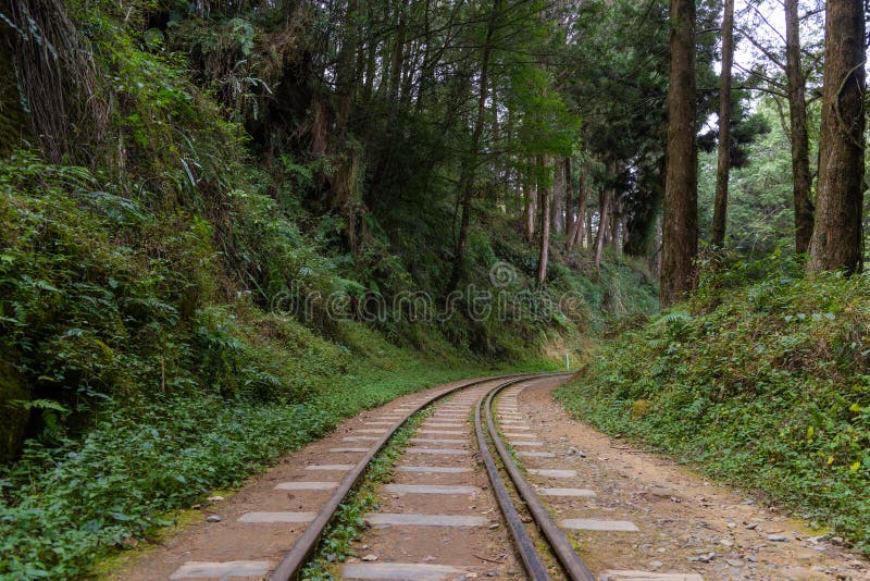 Alishan Forest Railway stock photo. Image of tropical - 269603756