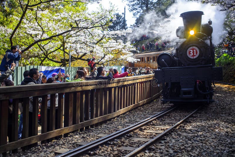 Alishan Forest train editorial stock photo. Image of railway - 30033218