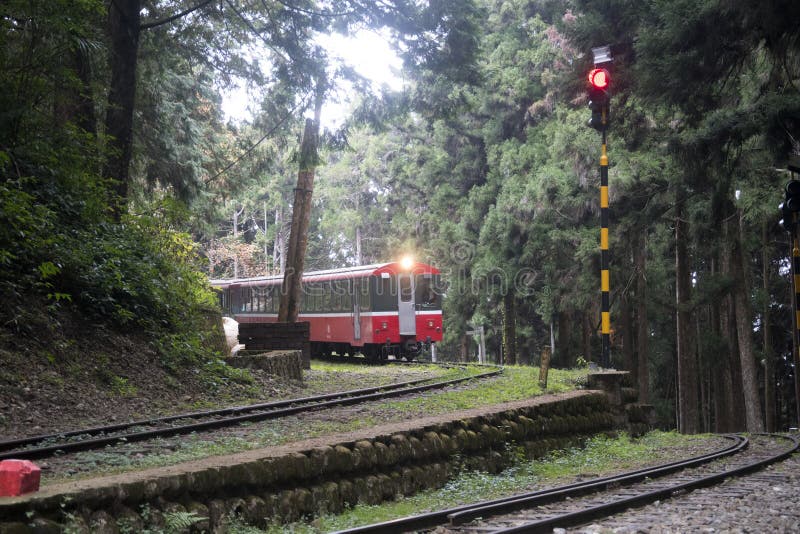 Public Train is Approaching To Sacred Tree Station in Alishan National ... Public Train is Approaching To Sacred Tree Station in Alishan National ...