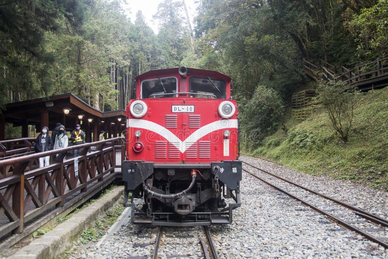 Public Train Dock at Sacred Tree Station in Alishan National Scenic ... Public Train Dock at Sacred Tree Station in Alishan National Scenic ...