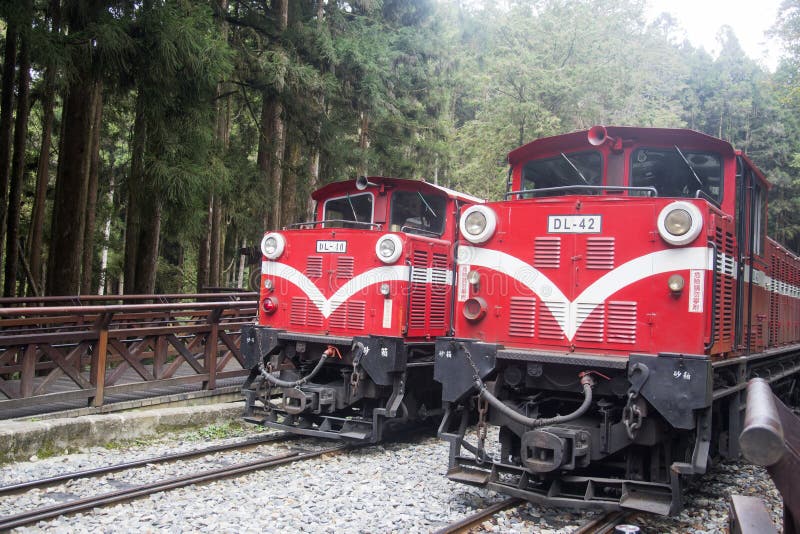 Public Train Leaves from Sacred Tree Station in Alishan National Scenic ... Public Train Leaves from Sacred Tree Station in Alishan National Scenic ...