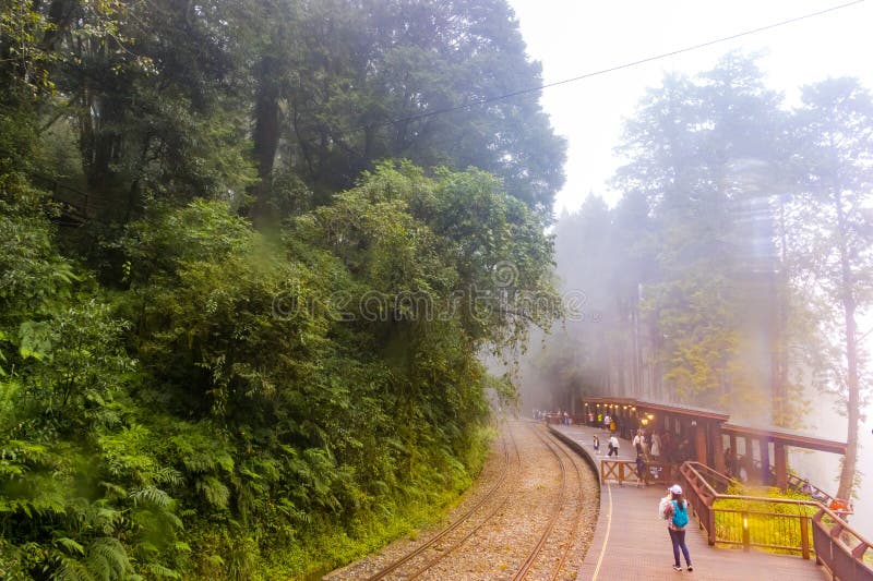 An Old Train Station Inside Alishan National Forest in Taiwan Editorial ...