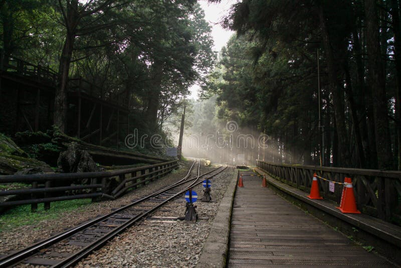 Alishan,taiwan-October 14,2018:sunlight in Forest on the Railway at ...