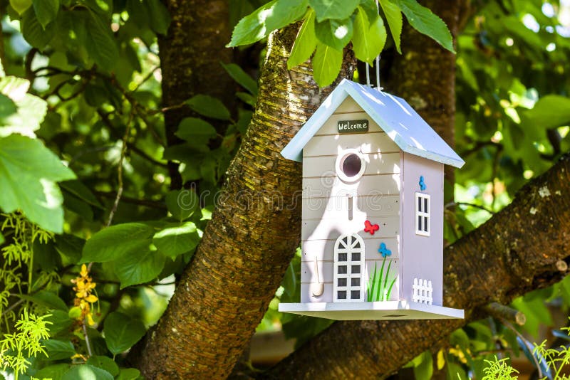 Alittle House Stock Photos - Free & Royalty-Free Stock Photos from ...