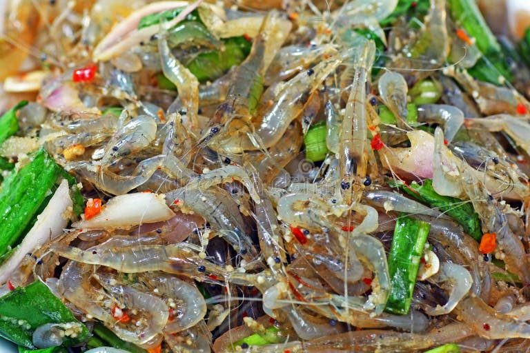 Alive shrimp salad stock photo. Image of asian, cuisine - 28836148