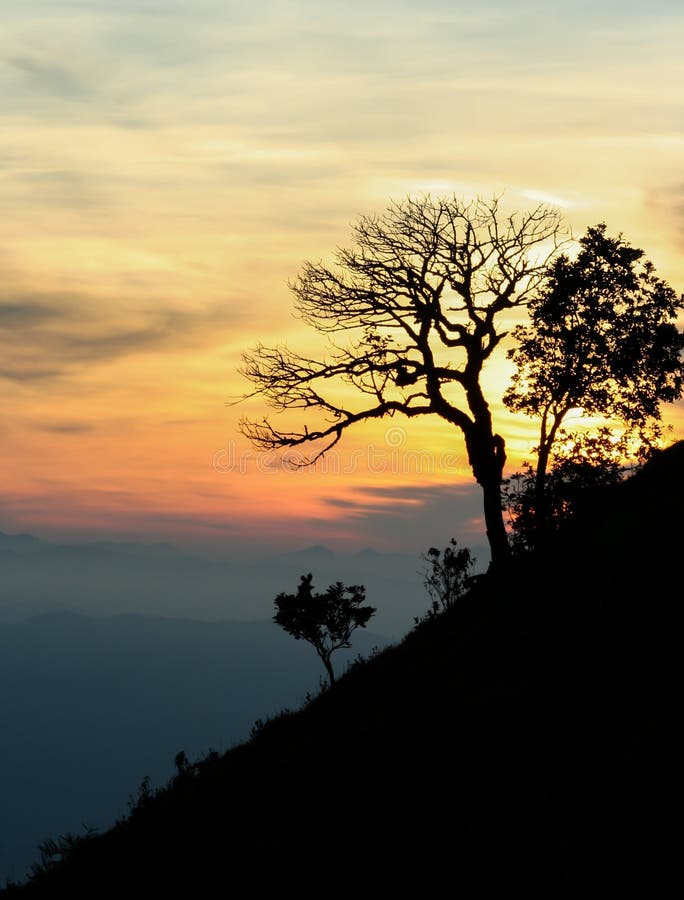 Alive stock image. Image of landscape, high, morning - 33641795