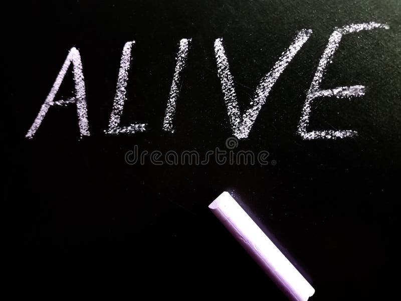 Alive Words Displaying on Chalkboard Concept Stock Image - Image of ...