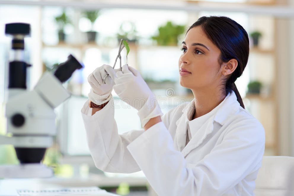 All about Botany. a Young Scientist Working with Plant Samples in a Lab ...