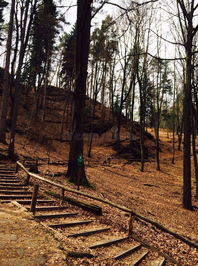 143 Brown Forrest Trekking Stock Photos - Free & Royalty-Free Stock ...