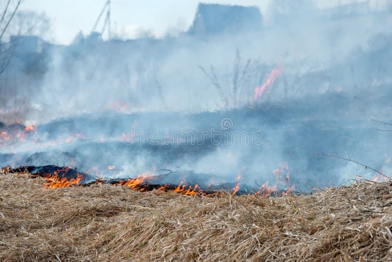 All burns stock image. Image of burns, land, flame, drought - 72582581