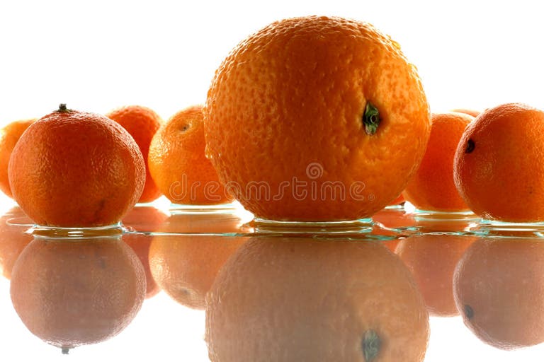 All is Cognized in Comparison Stock Image - Image of comparison, macro ...