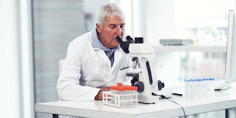 All in a Days Work. a Focused Elderly Male Scientist Looking through a ...