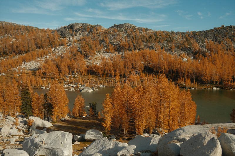 All the Different Seasons in Washington State Stock Photo - Image of ...