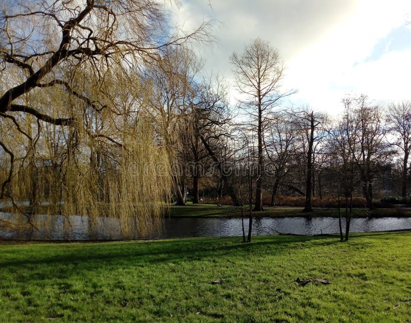 Oosterpark stock photo. Image of view, branches, amsterdam - 303705432