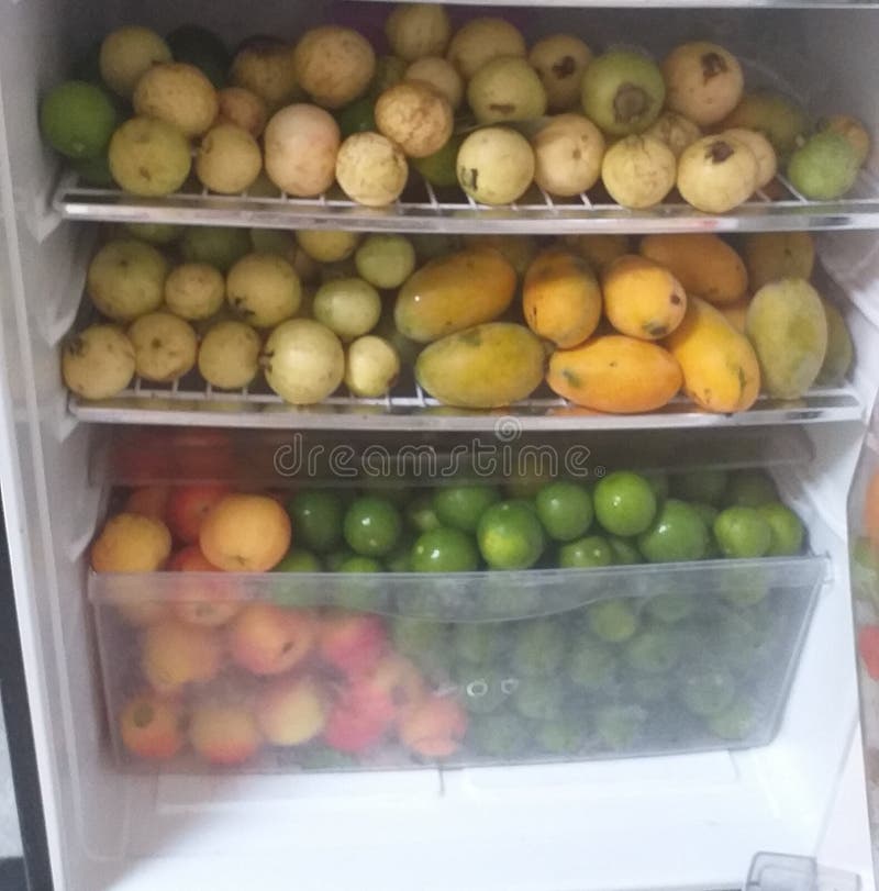 Fruits All Together stock photo. Image of assortment - 50773030