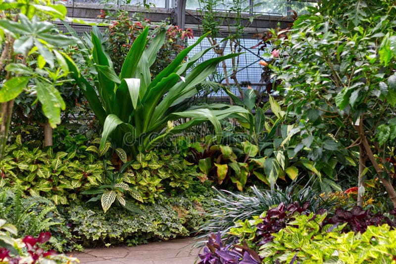 All Green Walkway Inside a Greenhouse, Toronto, on, Canada Stock Photo ...